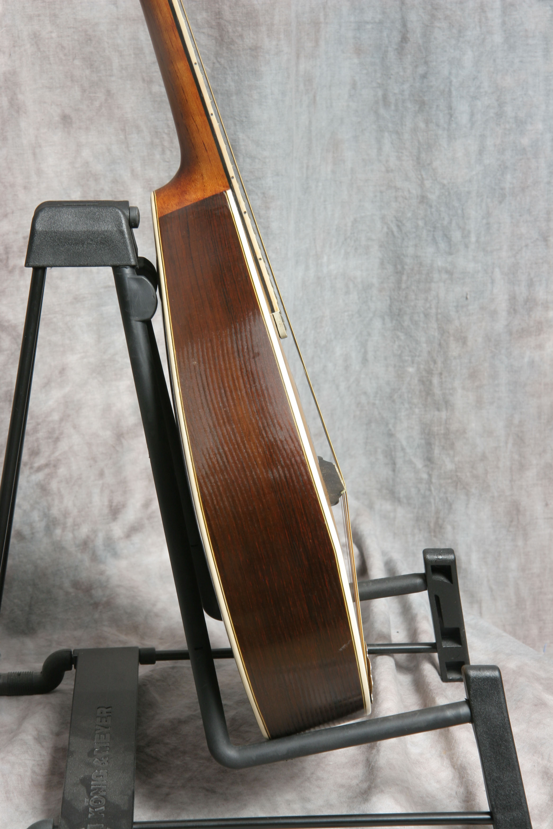 1920s Stahl Mandolin